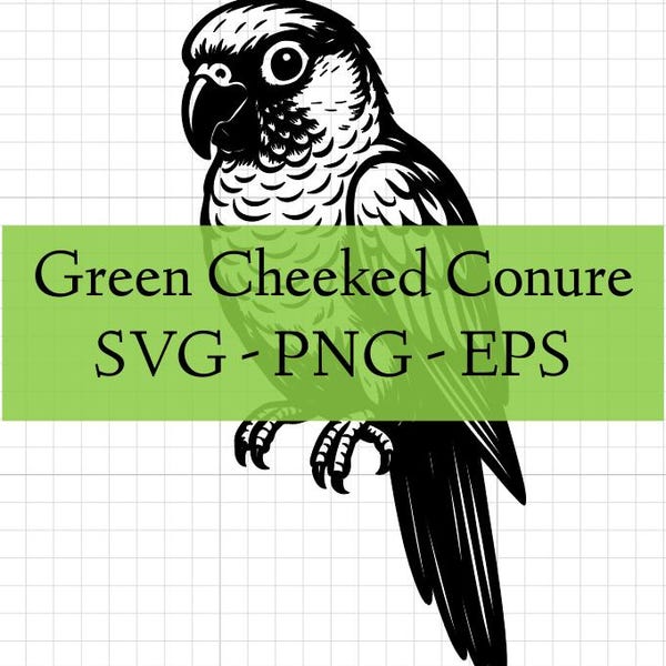 Green Cheek Conure - Etsy