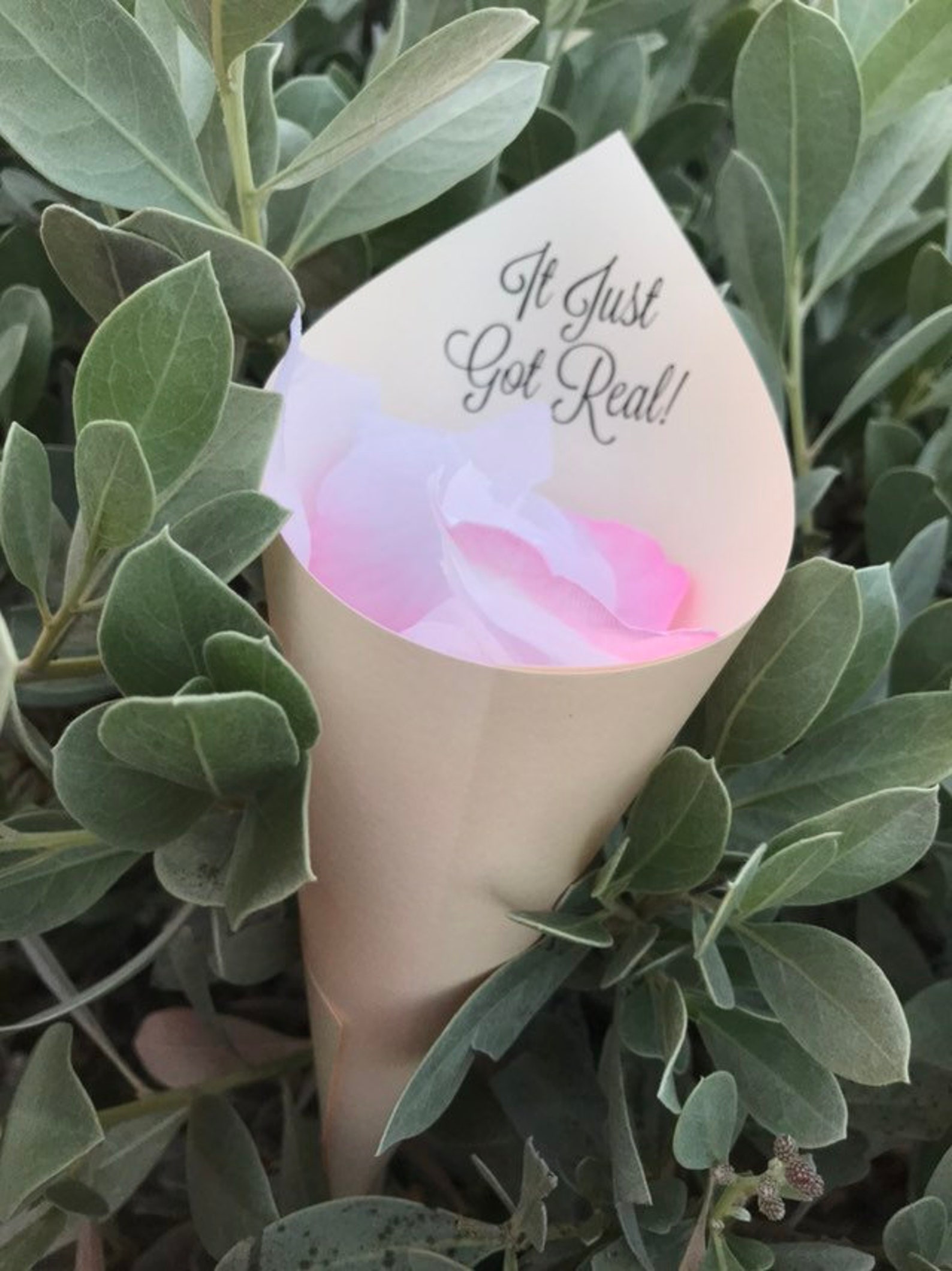 Monogram Wedding Petal Favor Cones Shown in Coral | Etsy