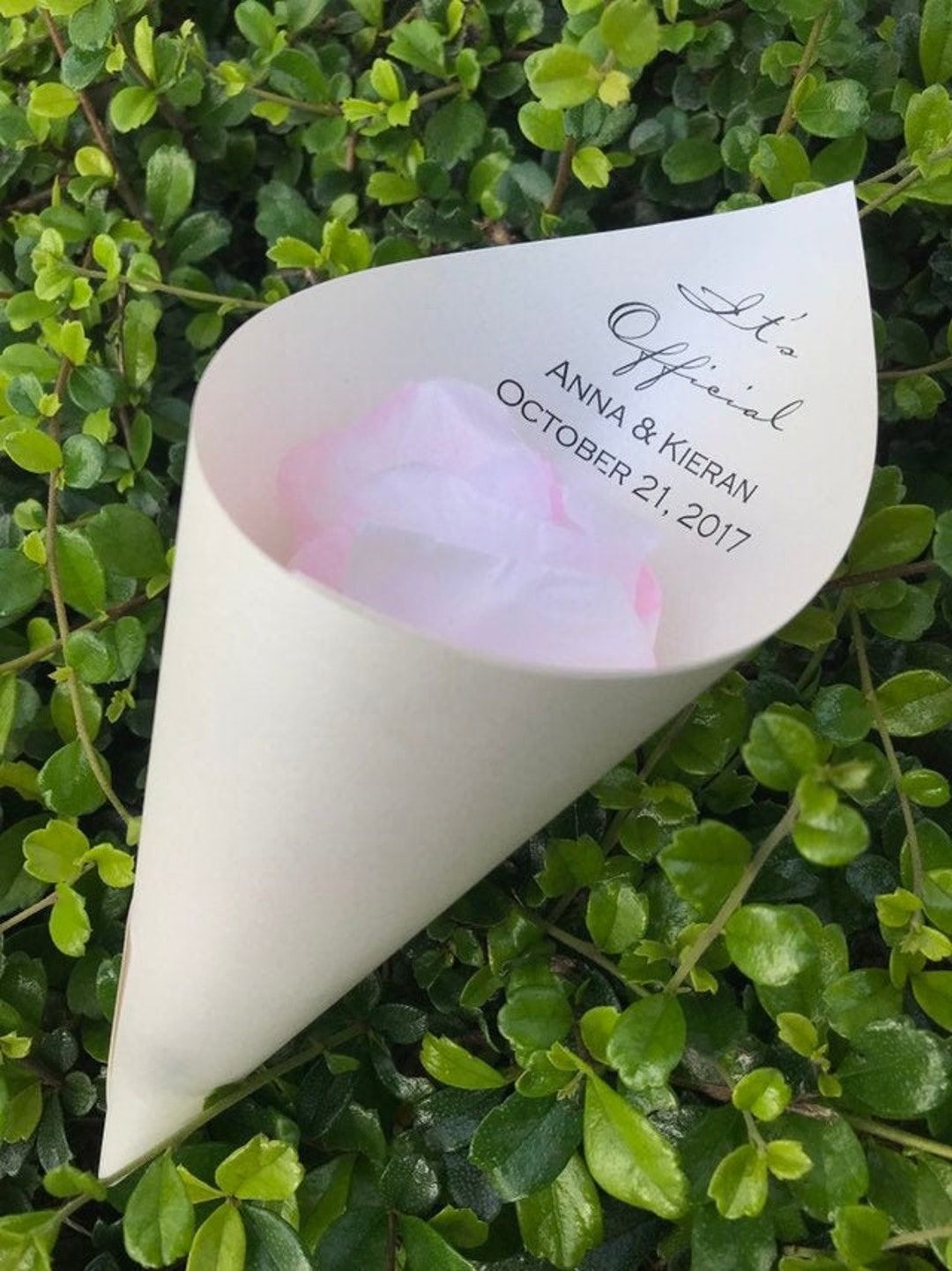 Wedding Petal Favor Cones With Verse (coral) - Etsy