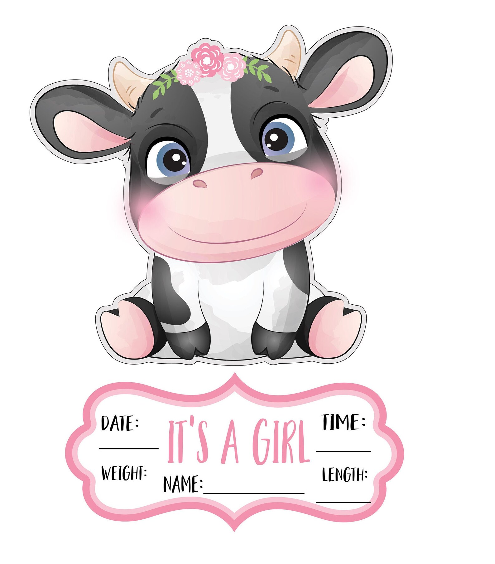 11.17x10.48 Cow It's a Girl Baby Announcement With - Etsy
