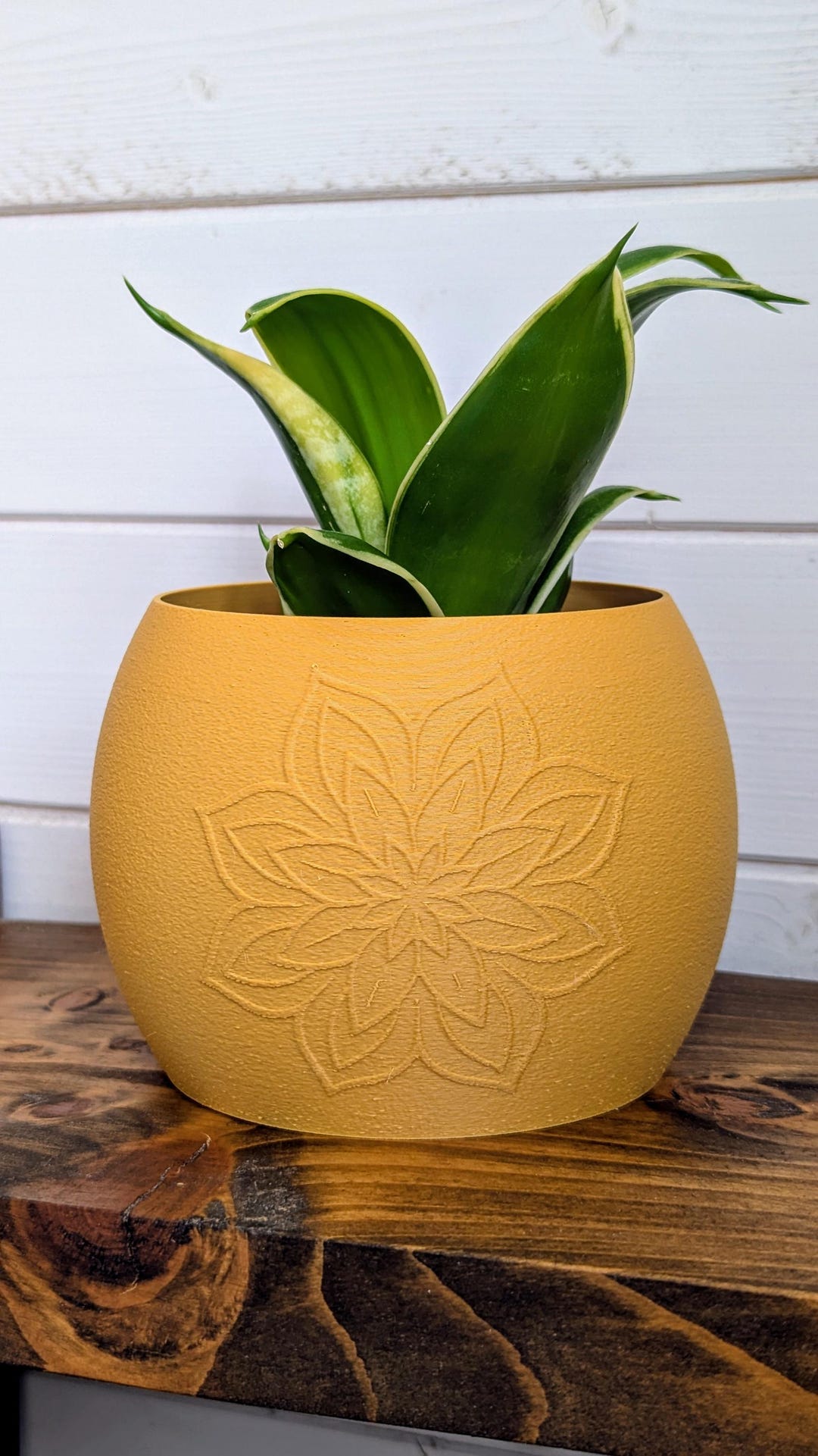 Mandala Plant Pot, Mandala Art, Unique Gift for Plant Lovers, Indoor ...