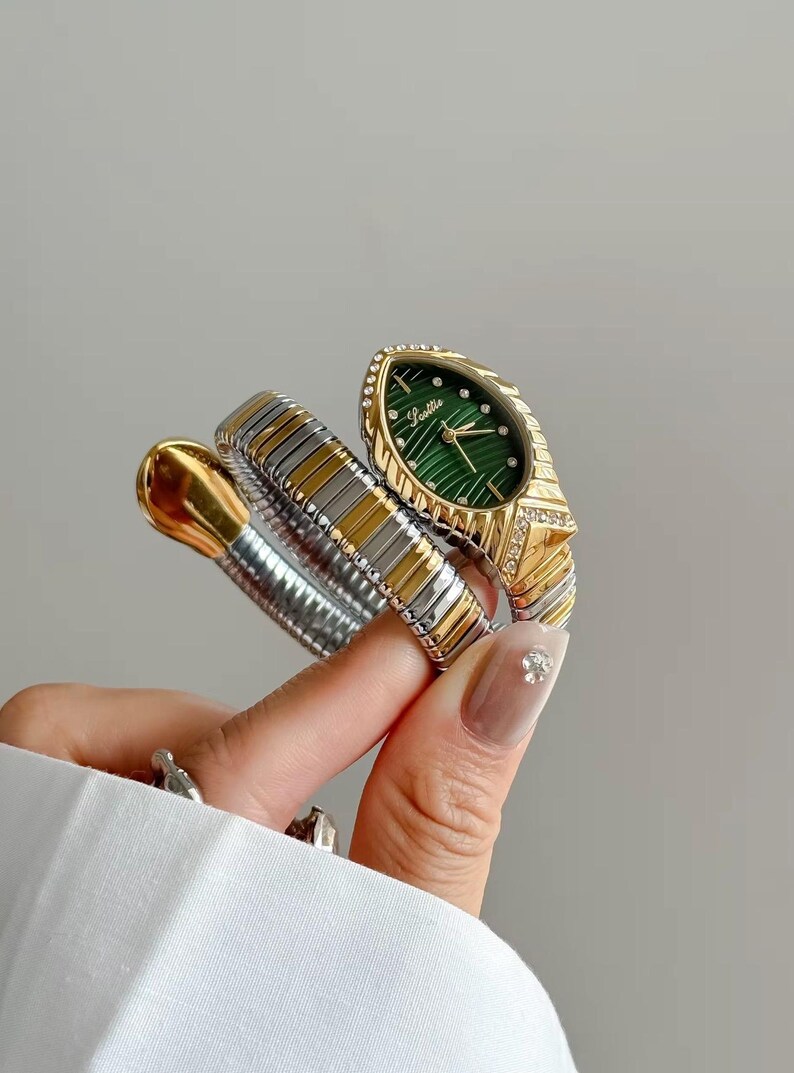 Snake Watch- One Circle Design, Luxury Stainless Steel Wristwatch ...