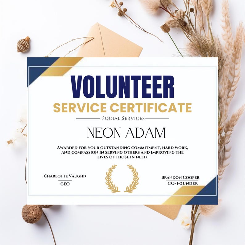 Editable Volunteer Certificate Template, Social Services Award (canva ...