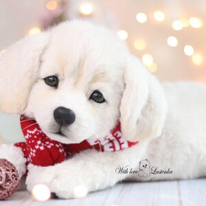 Life size labrador stuffed animal store