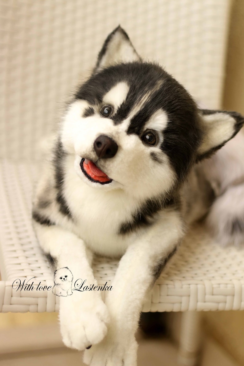 Puppy Husky Stuffed Dog Artist Collectible Toy OOAK Teddy Dog - Etsy