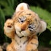 Tiger Cub Amadeus Realistic Wild Cat. OOAK Artist Handmade - Etsy Canada