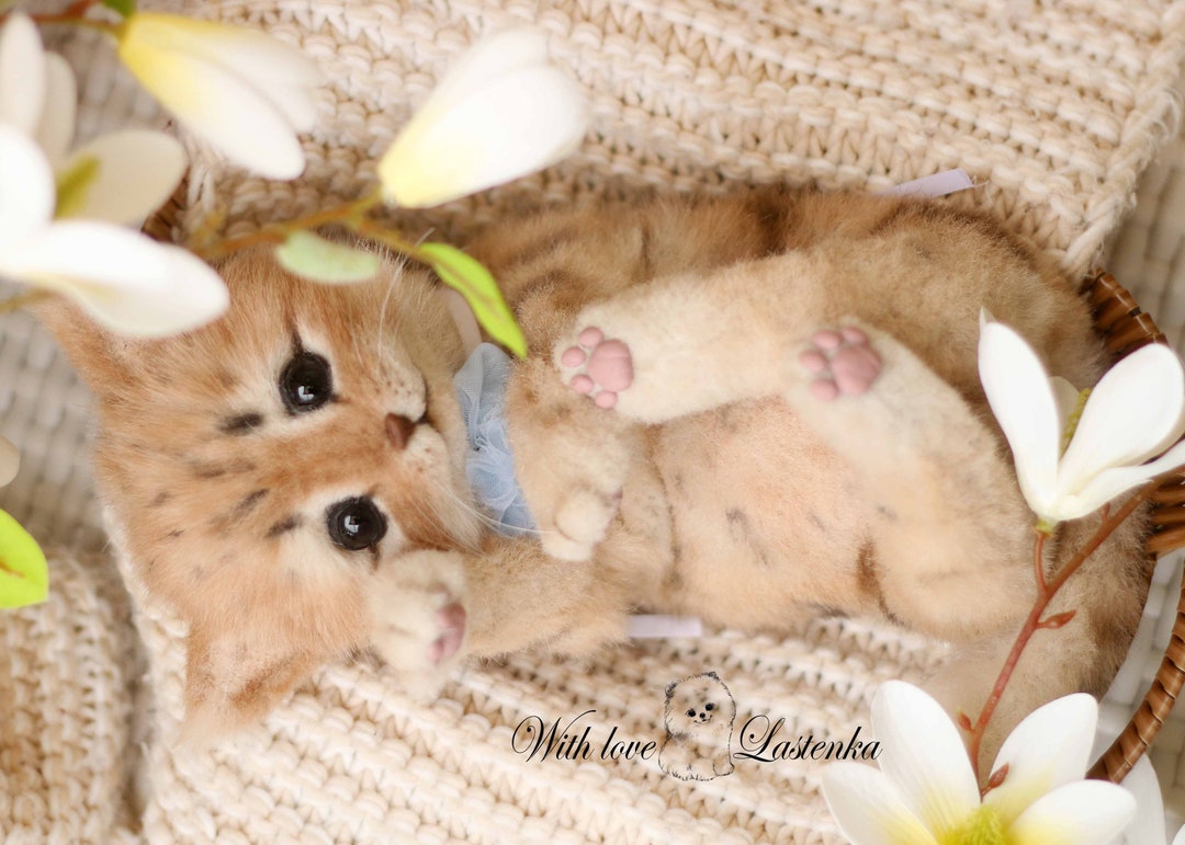 Kitten Zephyr Realistic Artist Cat. made to Order - Etsy