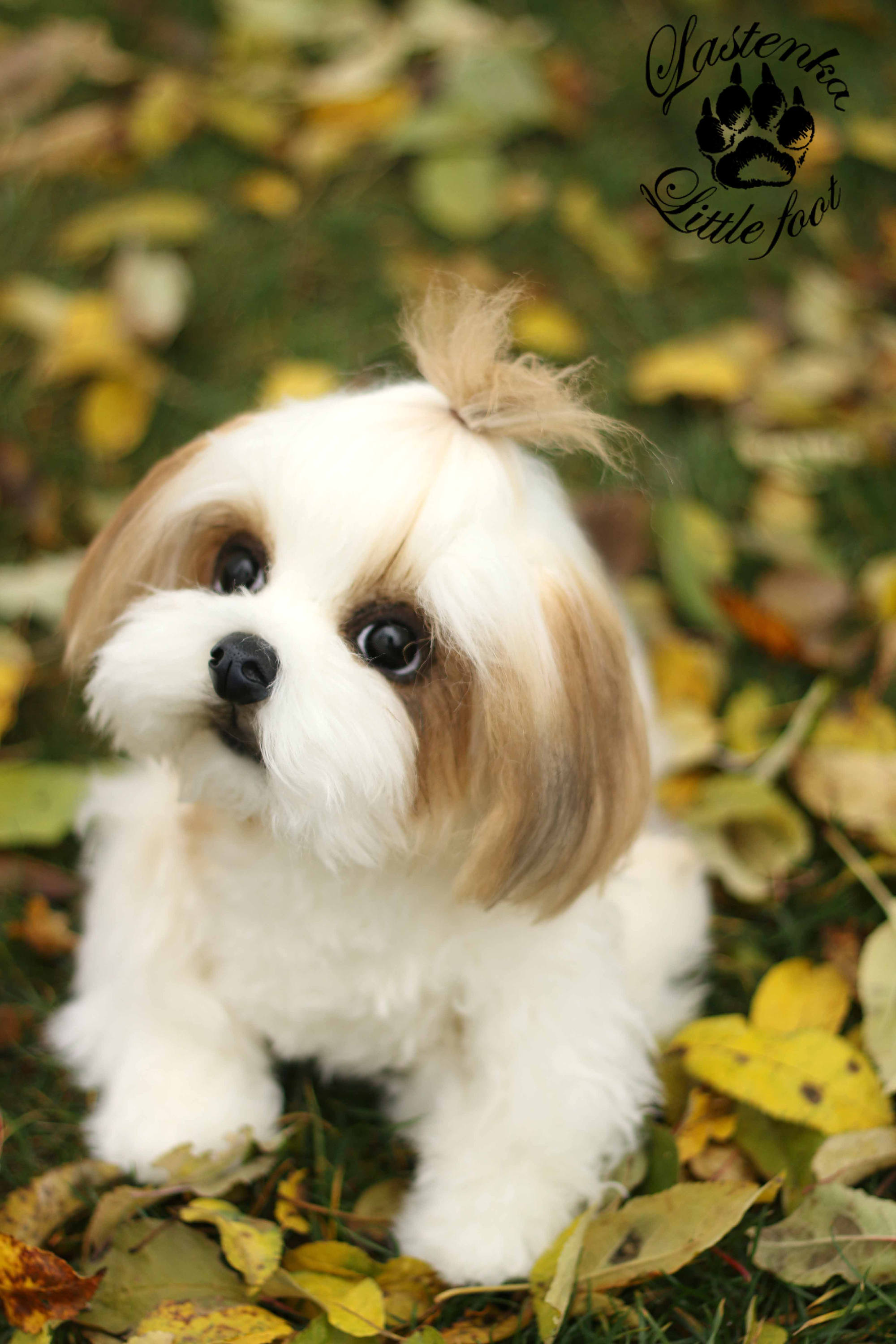 Handmade Shih Tzu Plush: Realistic Collectible Teddy Dog Portrait (made ...