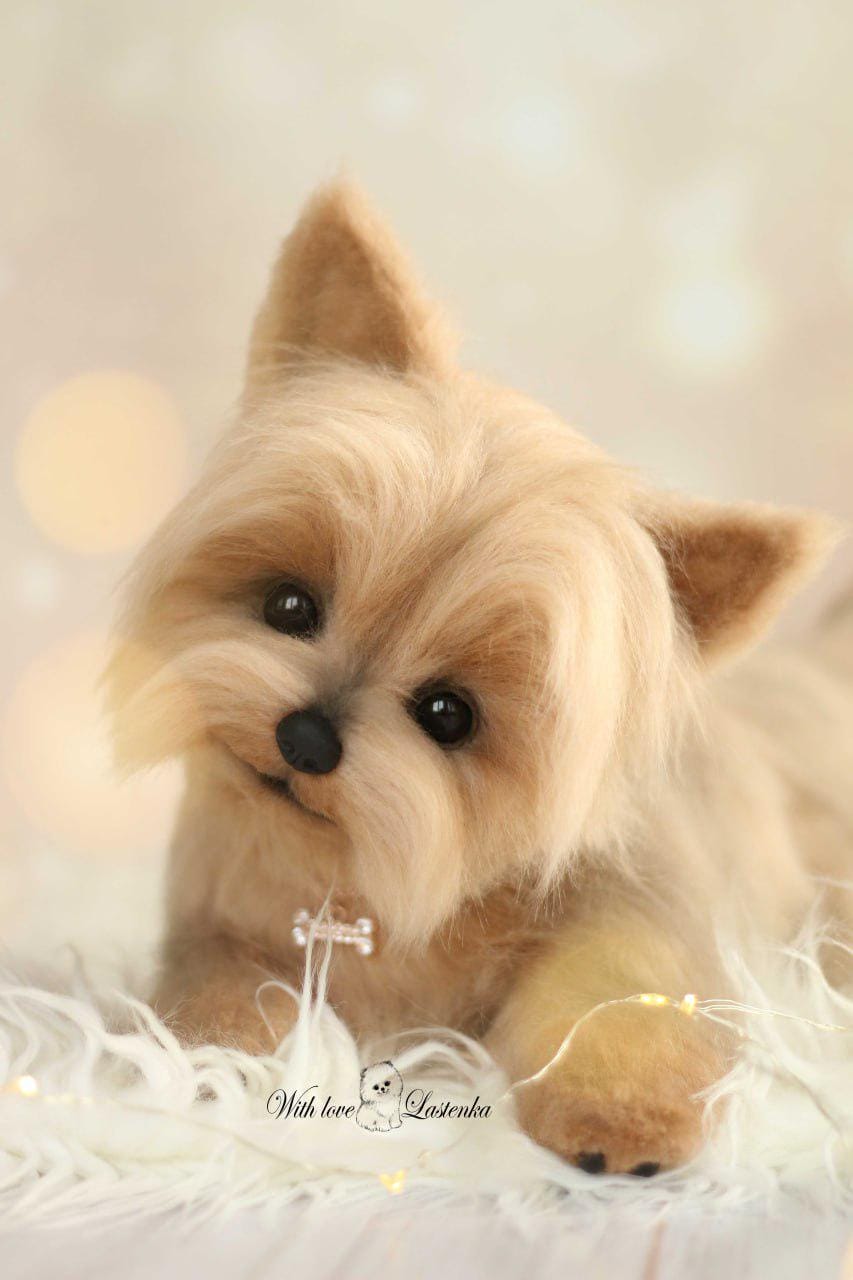 OOAK Mohair Yorkie Art Doll: Handmade Yorkshire Terrier Collectible - Etsy