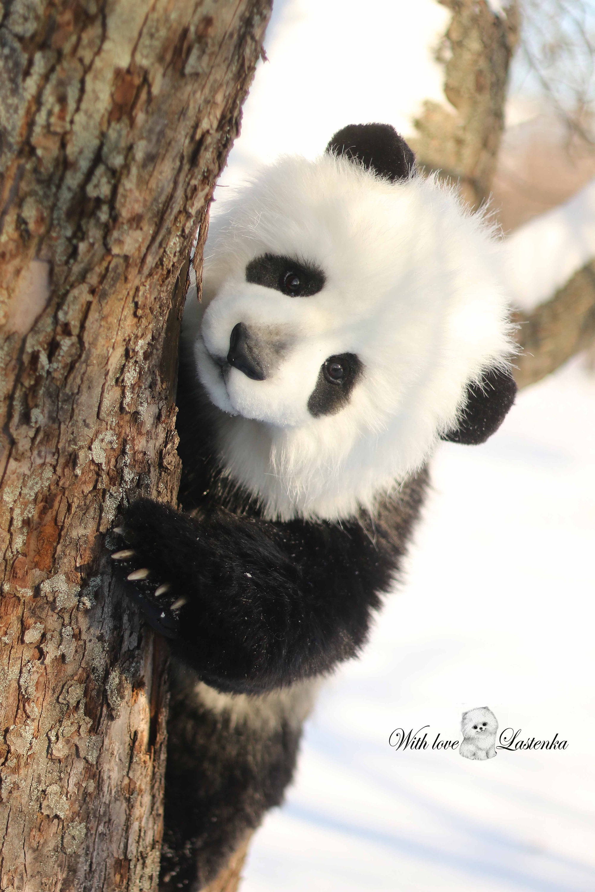 Cute Panda Plush Etsy UK