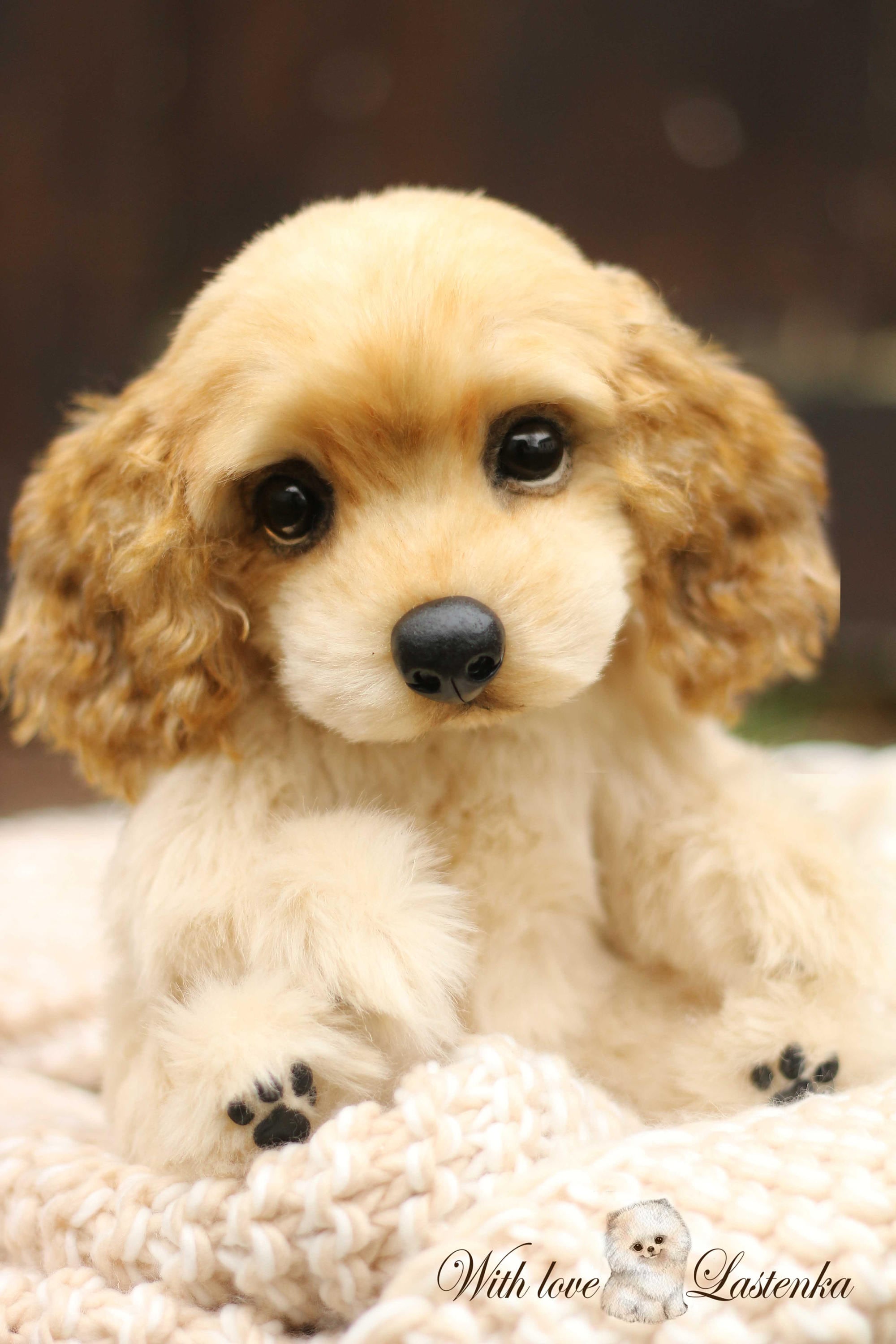 Cocker Spaniel dog Daisy OOAK collectible teddy dog handmade | Etsy