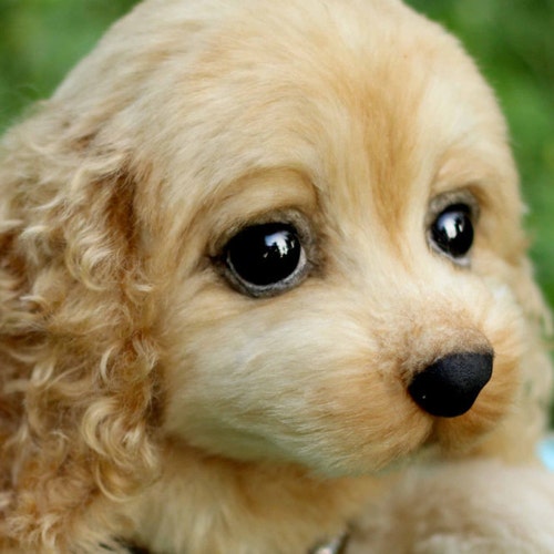 Cocker Spaniel Dog Daisy OOAK Collectible Teddy Dog Handmade - Etsy