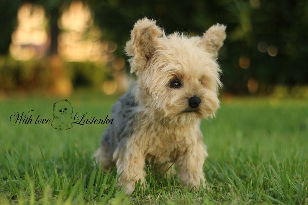 Yorkie Snickers Portrait Artist Dog Mohair Collectible Toy OOAK Puppy ...
