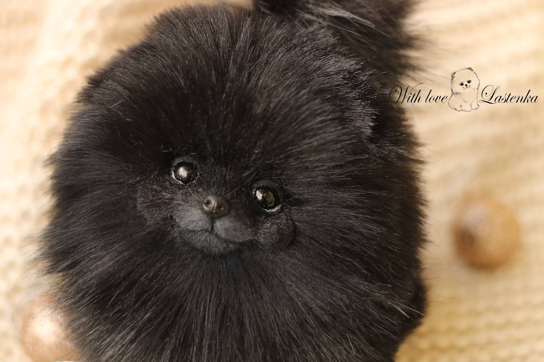 Collectible Artdoll Pomeranian Stuffed Spitz Collection Soft Plush Dog ...