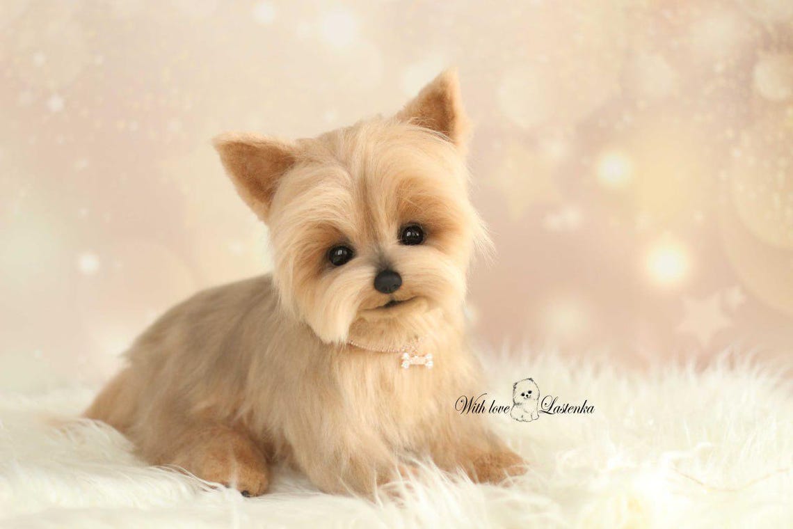 OOAK Mohair Yorkie Art Doll: Handmade Yorkshire Terrier Collectible - Etsy