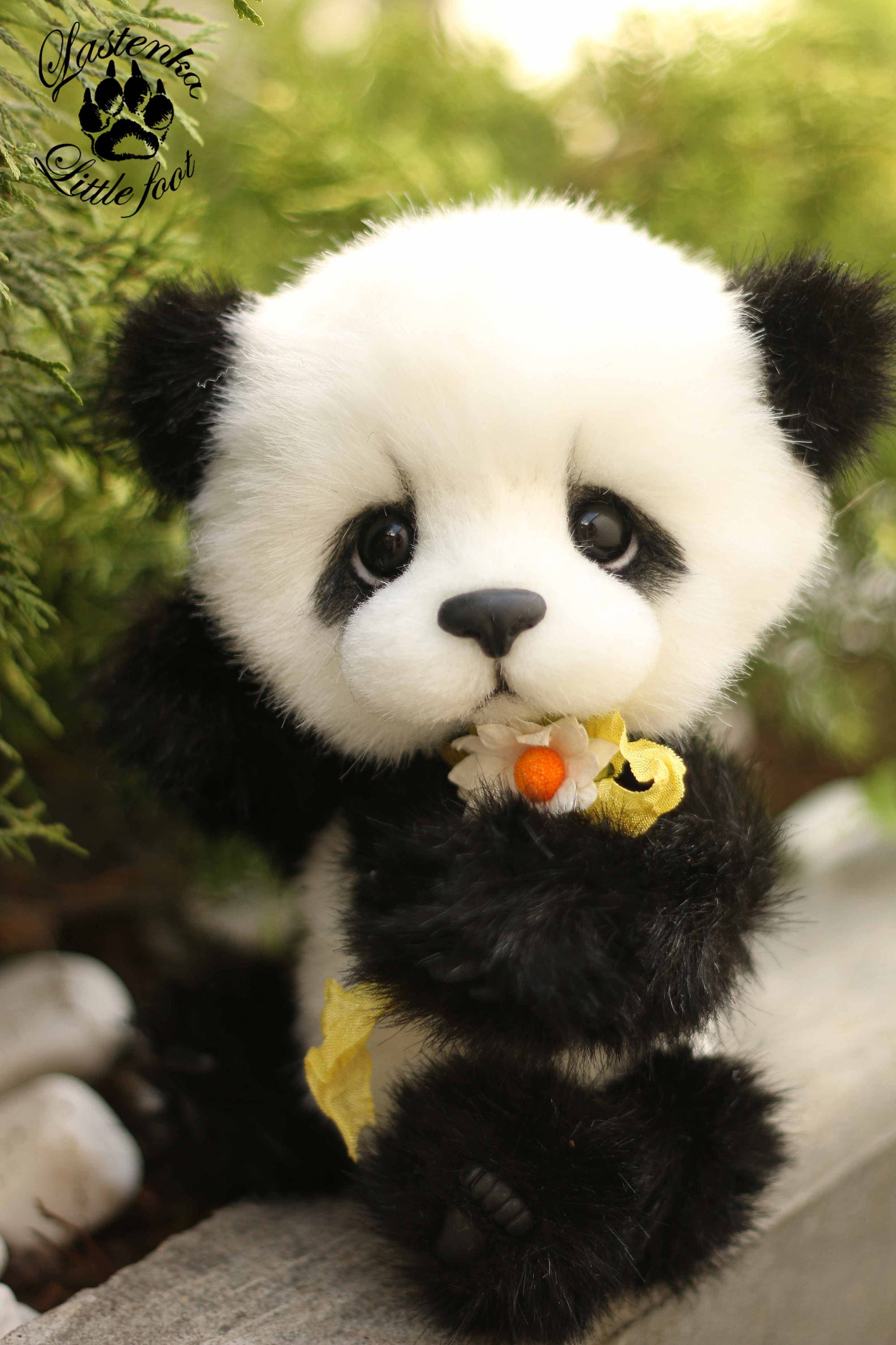 Cute Panda Teddy Bear