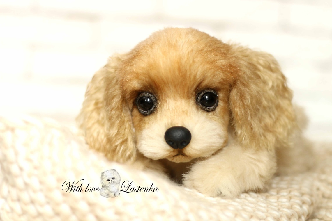 Cocker Spaniel dog Daisy OOAK collectible teddy dog handmade | Etsy