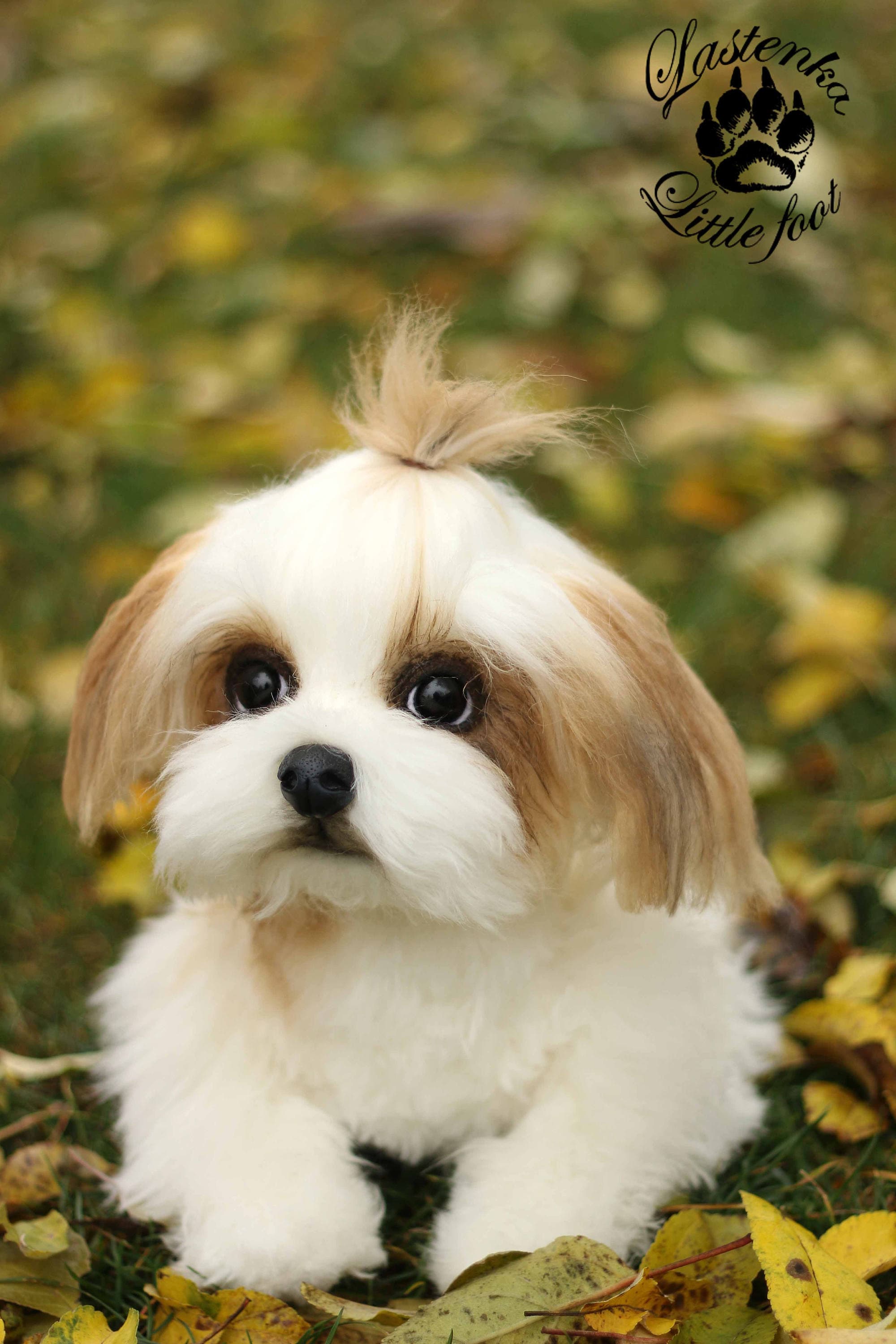 Handmade Shih Tzu Plush: Realistic Collectible Teddy Dog Portrait (made ...