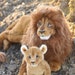 Big Realistic Lion and Lion Cub. - Etsy