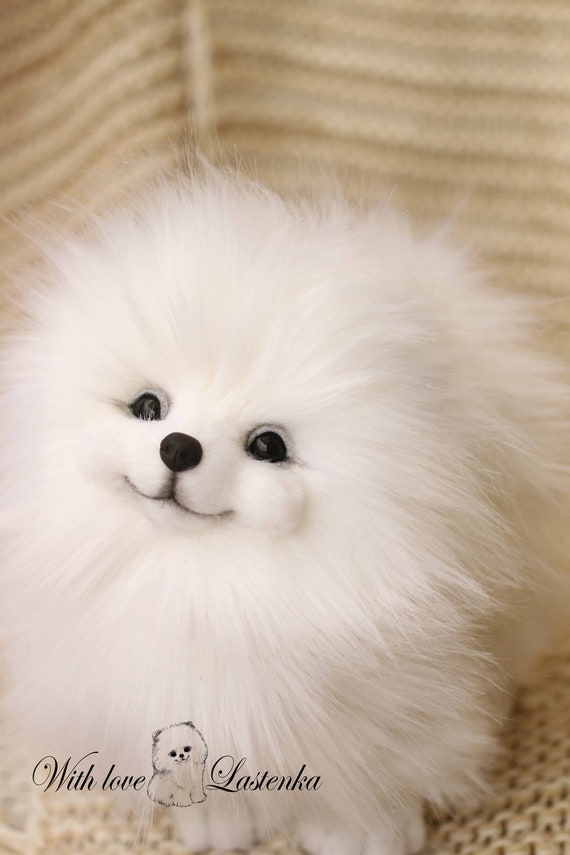 White Micro Pomeranian