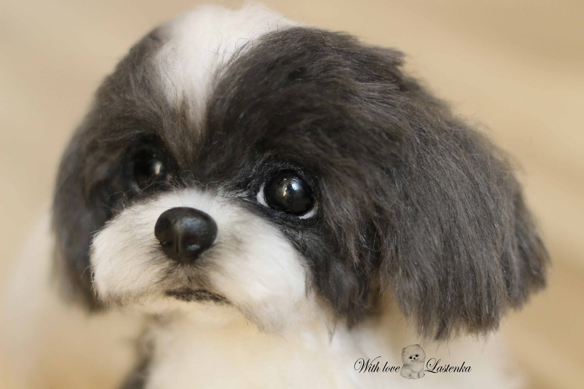Shih Tzu puppy Baby realistic Stuffed dog collectible Artist | Etsy