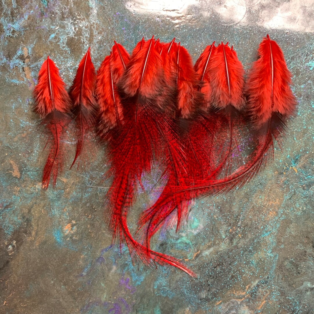 Lollipop Red Craft Rooster Feathers Coq De Leon Saddle Unique Speckle ...