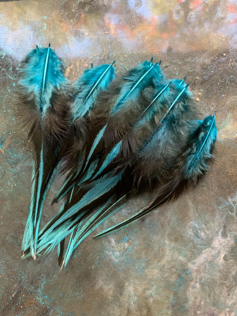 Teal Laced Rooster Feathers: Craft & Jewelry Supplies (1 Dozen) - Etsy