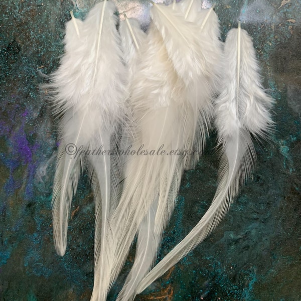 White Feathers - Etsy