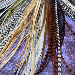 Natural Hair Feathers Extensions Bulk Wholesale Price on Fly Tying ...