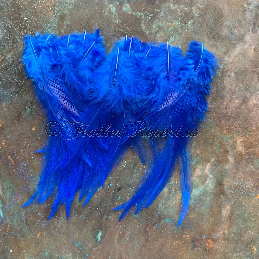 Blue Craft Feathers Bulk Feathers for Crafts 50 Saddle Feathers Soft ...