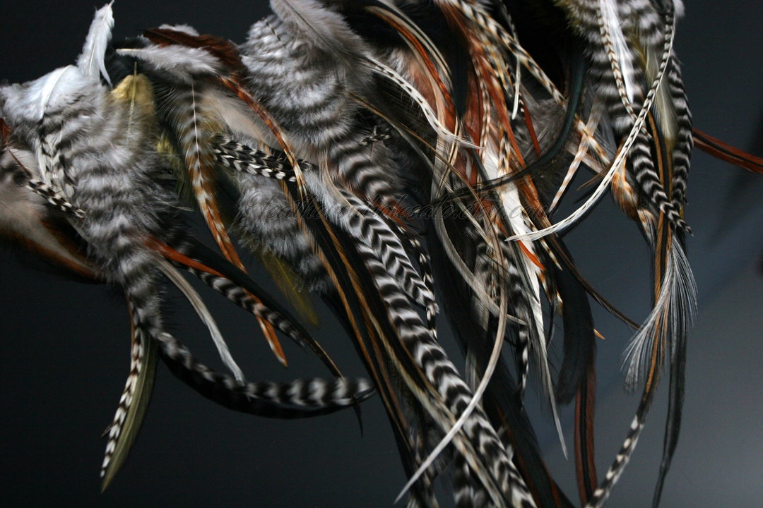 Natural Rooster Craft Feathers Sold in Bulk Fly Tying Feathers Grizzly ...