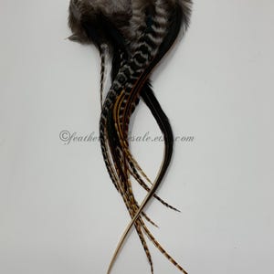 12 Long Rooster Feathers Cree Natural Craft and Earring Feathers 8 to ...