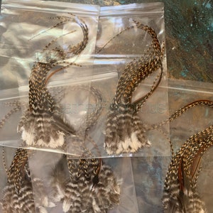 Natural Feathers Cree Craft Rooster Feathers for Crafts - Etsy