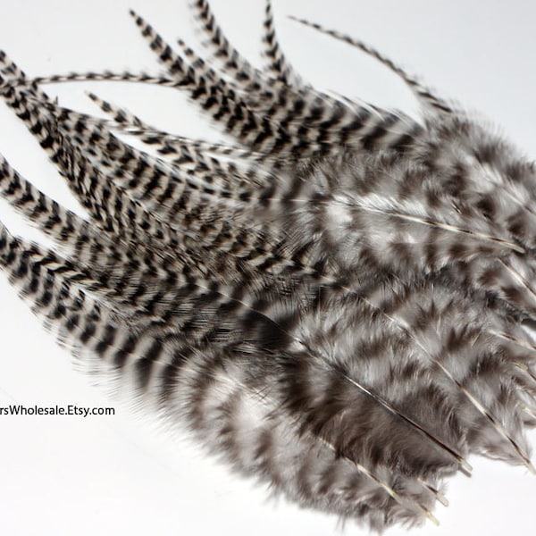Zebra Feathers - Etsy