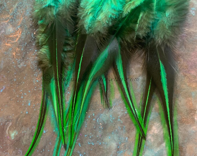 Green Craft Feathers Laced Rooster Feathers Dyed Green in Color Black ...