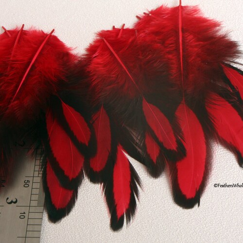 100 Mix Color Rooster Feathers 4-6 Inch Loose Feathers | Etsy