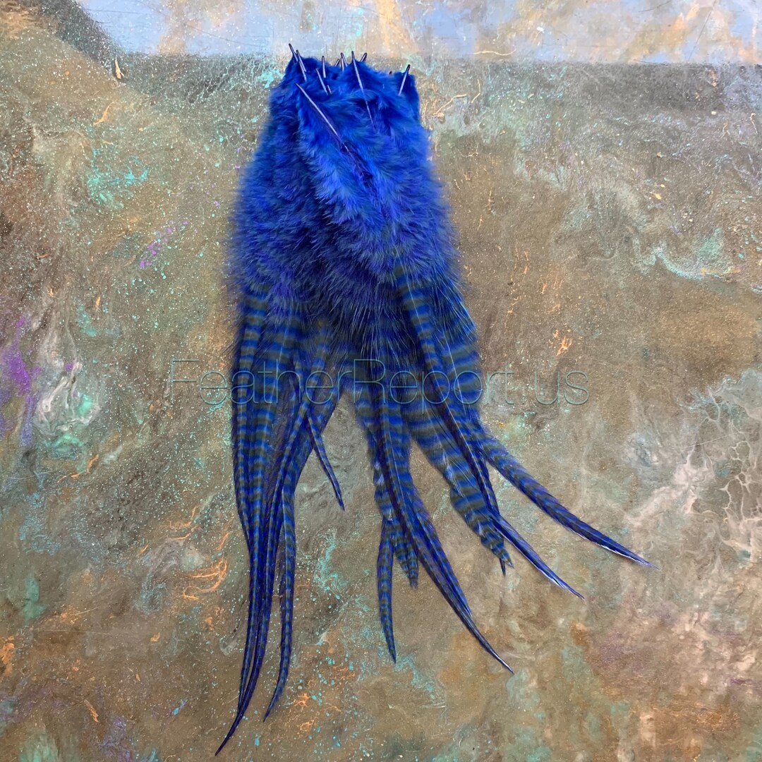 Rooster Craft Feathers Royal Blue With Faint Stripes Medium Length Blue ...