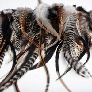 Natural Rooster Craft Feathers Sold in Bulk Fly Tying Feathers Grizzly ...