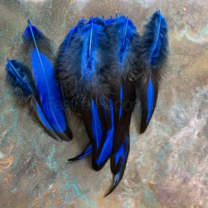 Small Blue Feathers Blue Laced Feather Crafting Plumes Blue Craft ...