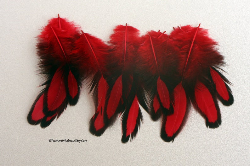 Cherry Red Craft Feathers Small Laced Hen Saddle Feather for - Etsy