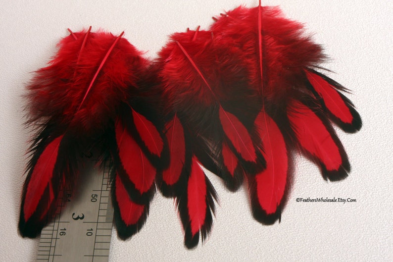 Cherry Red Craft Feathers Small Laced Hen Saddle Feather for - Etsy