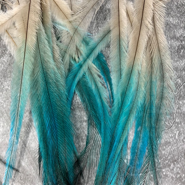 Emu Feathers - Etsy