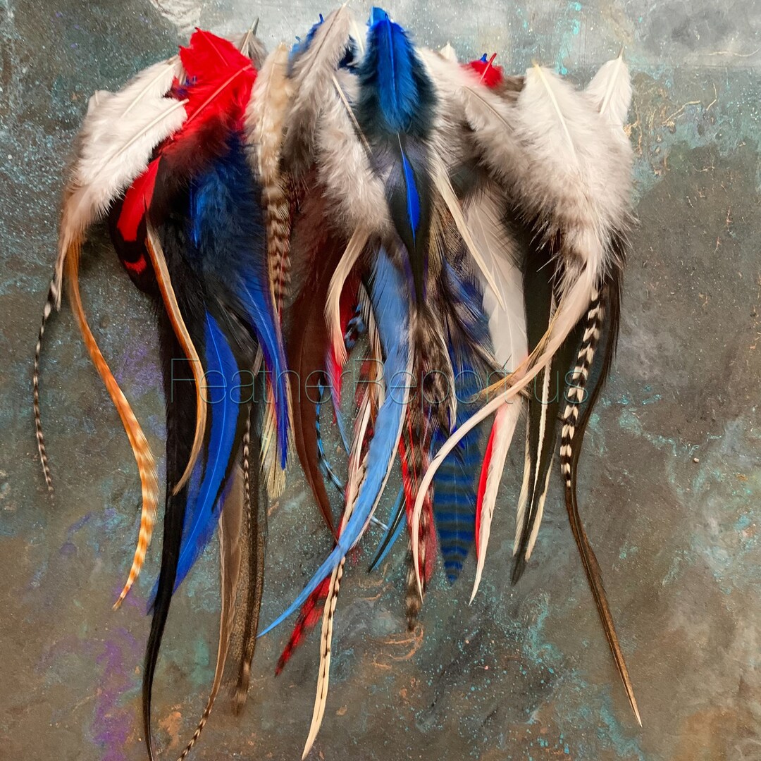 Bulk Rooster Feathers Red White and Blue Craft Feathers Wholesale Pack ...