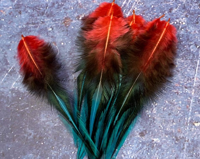 Red Blue Craft Feathers Wholesale Poppy Aqua Blue Laced Rooster ...