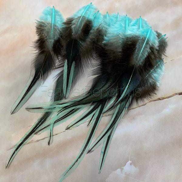 Light Blue Feathers - Etsy