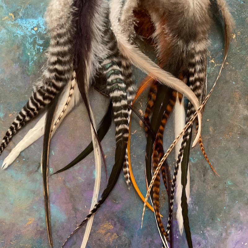 Rooster Feather - Etsy