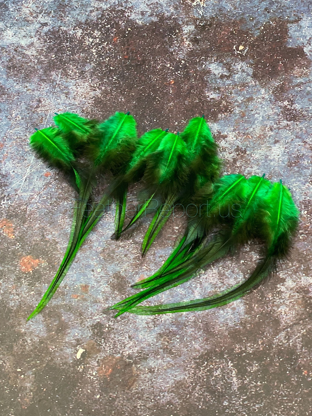 Green Craft Feathers Laced Rooster Feathers Dyed Green in Color Black ...