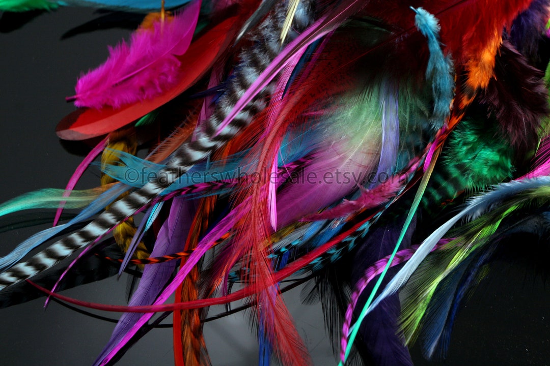 Dyed Rooster Saddle Feathers - Colorful Craft Supplies, Bulk Lot - Etsy