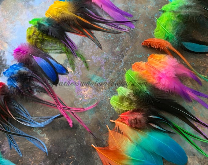 Matched Feathers for Earrings Bright Rainbow Colors Rooster Feathers ...