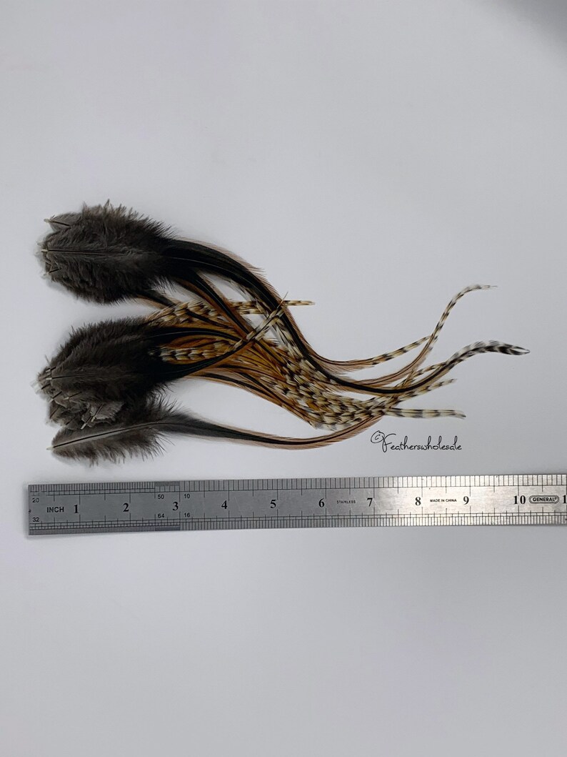 Natural Feathers Cree Craft Rooster Feathers for Crafts | Etsy